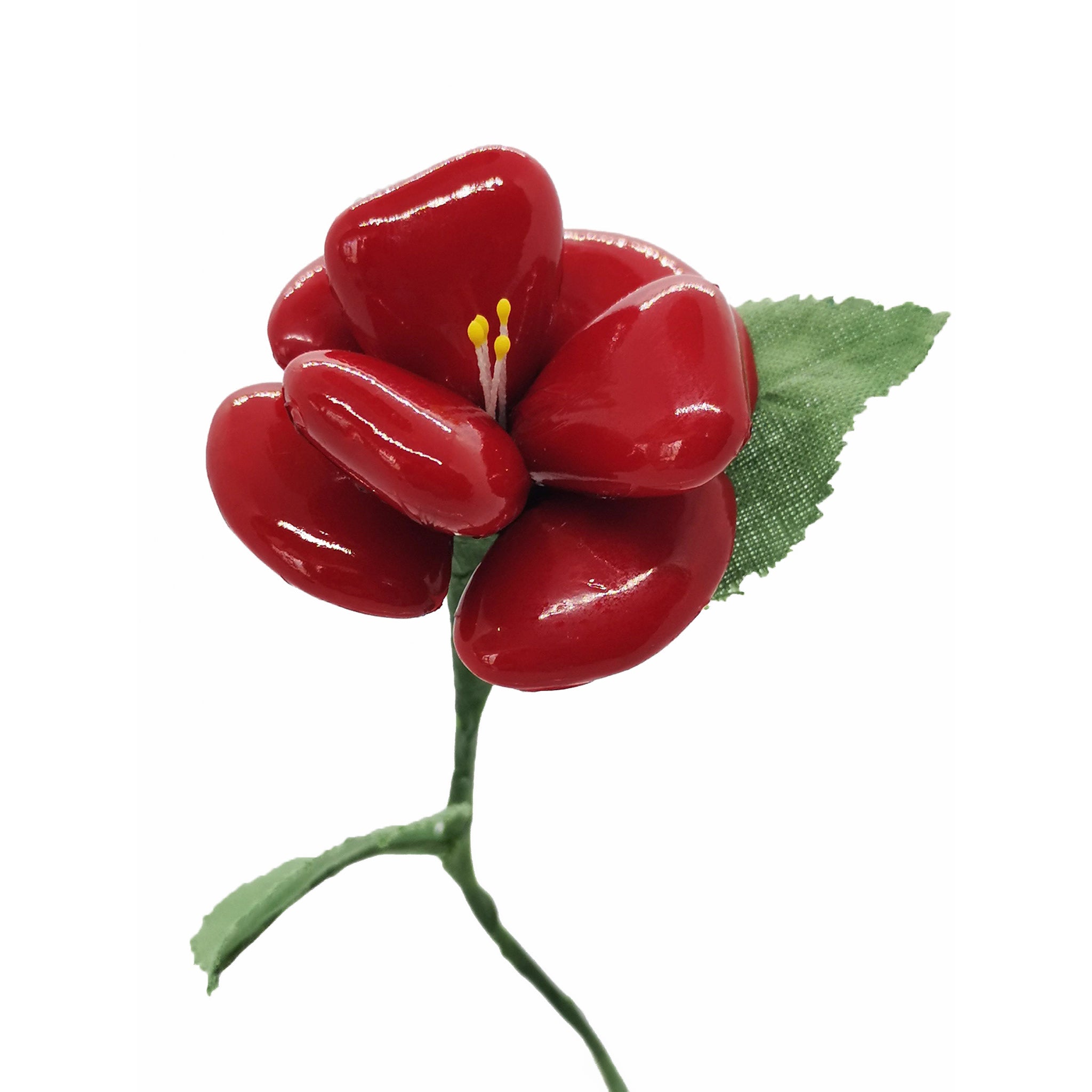 William Di Carlo | Fiori di Confetti | Rosa – I.R.C. William Di Carlo Srl